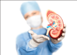 Dr Reddy Nephrologist: A Comprehensive Overview