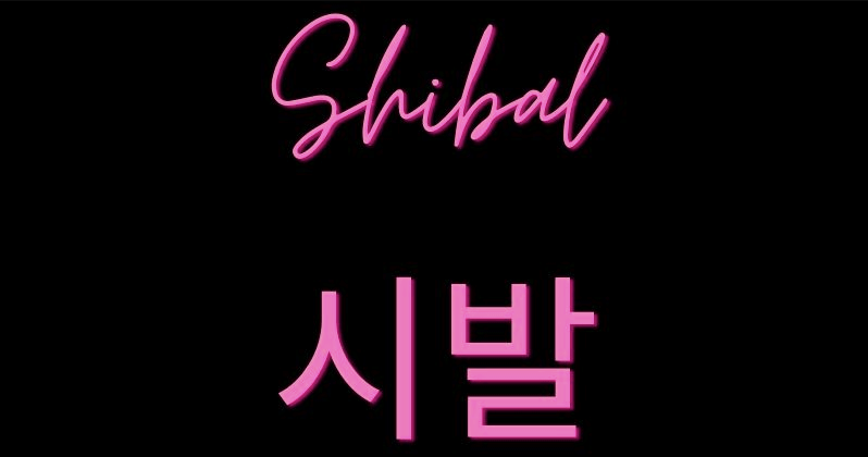 From Strategy to Socializing: The Many Benefits of Playing Shibal