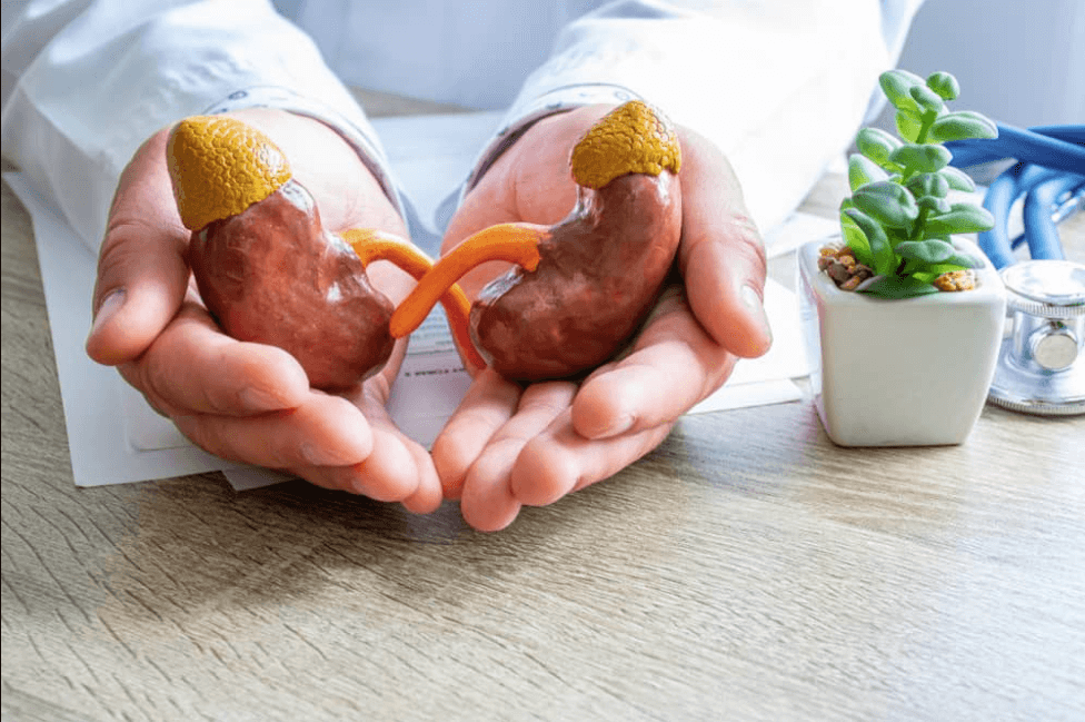 Largest Kidney Stone: Causes, Symptoms, and Treatment