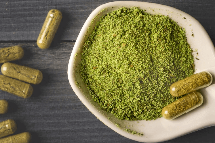 Kingdom Kratom: Unveiling the Power of Nature's Herbal Remedy